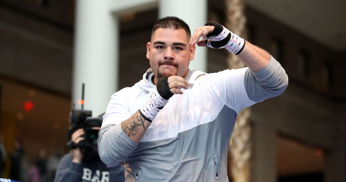 ANDY RUÍZ TIENE NUEVO RIVAL - EL VIRUS DEL BOXEO